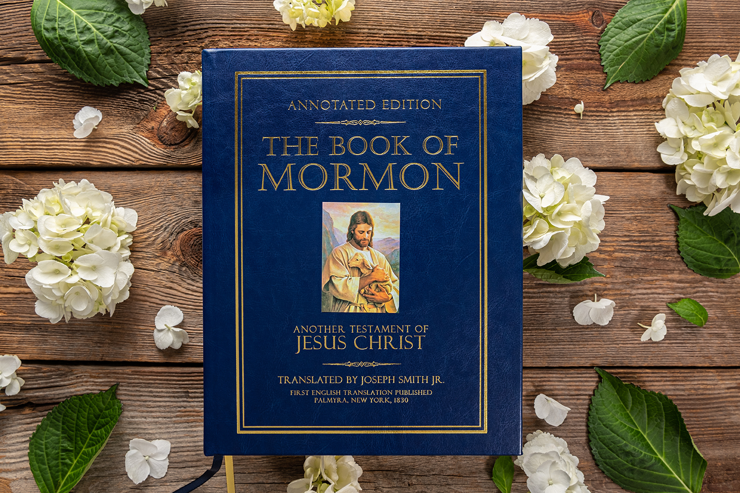 Annotated Book of Mormon – 3rd Edition – Book of Mormon Evidence Bookstore